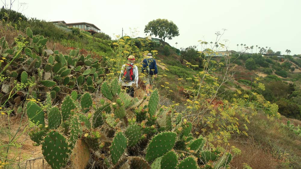 Soledad Mountain.