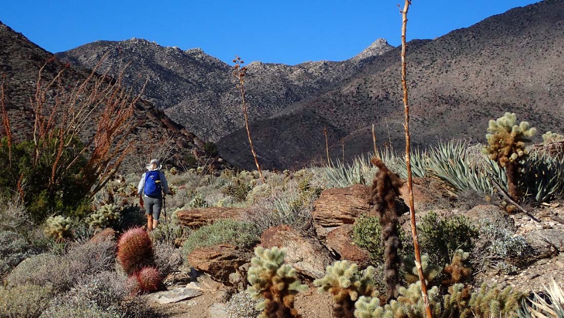 CA Riding and Hiking Trail.